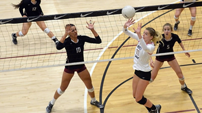Professional Volleyball Tournaments